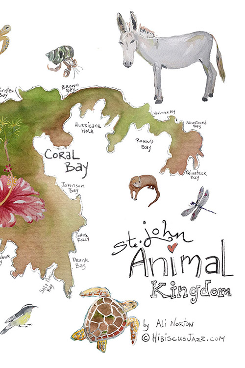 St. John Animal Kingdom Watercolor Poster - Hibiscus Jazz